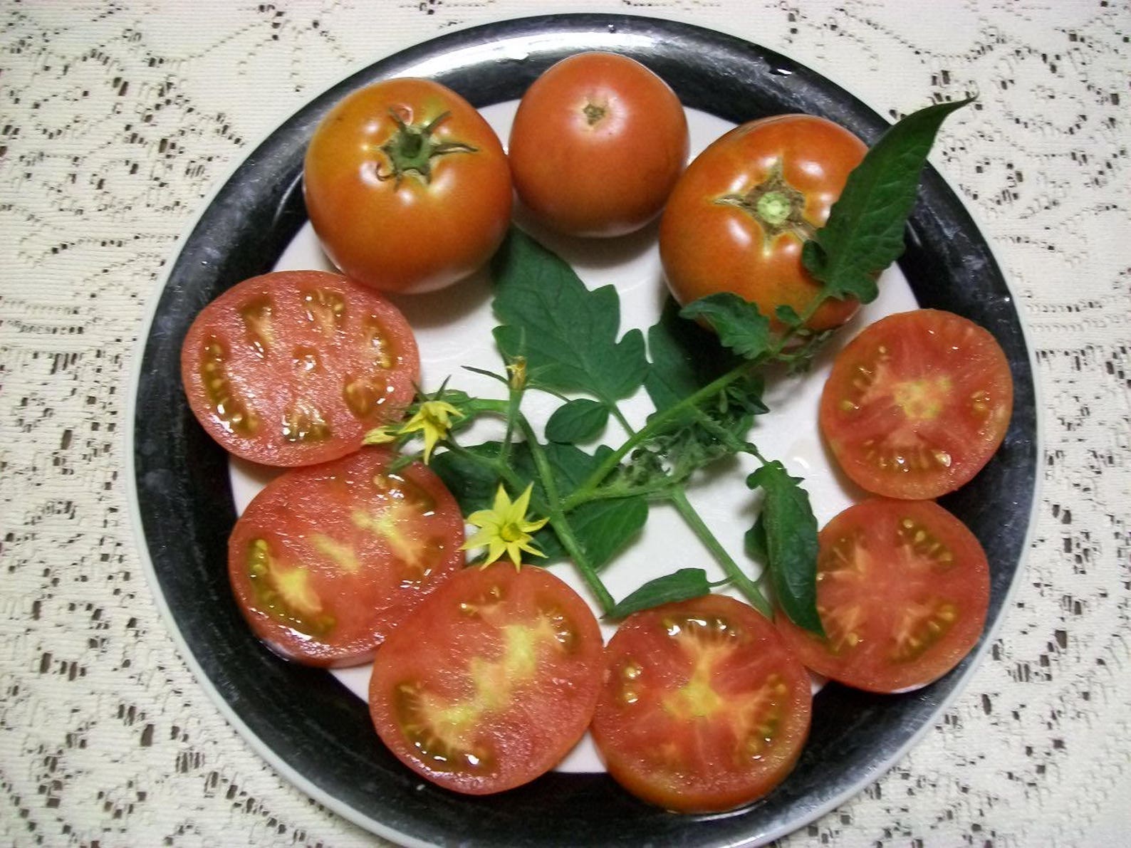 Heirloom Tomato- PERON SPRAYLESS- 68 Day RED Determinate 25 Seeds per ...