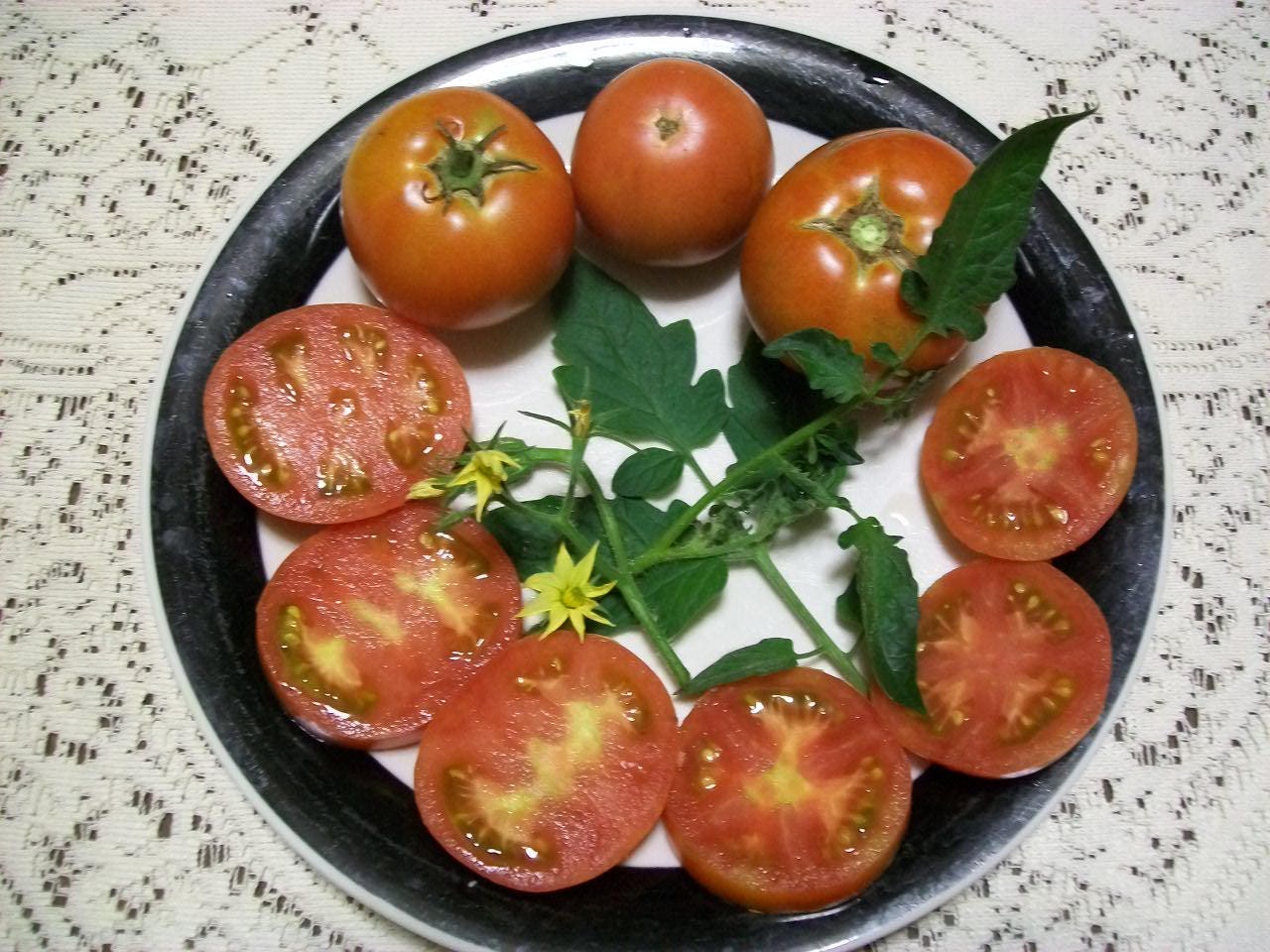 Heirloom Tomato PERON SPRAYLESS 68 Day RED Determinate 25 - Etsy