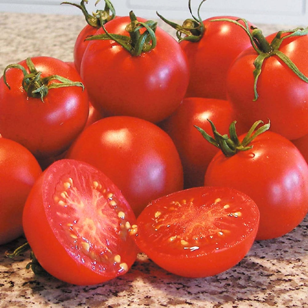 Heirloom Tomato GLACIER 56 to 60 Day RED Determinate 25 Seeds - Etsy