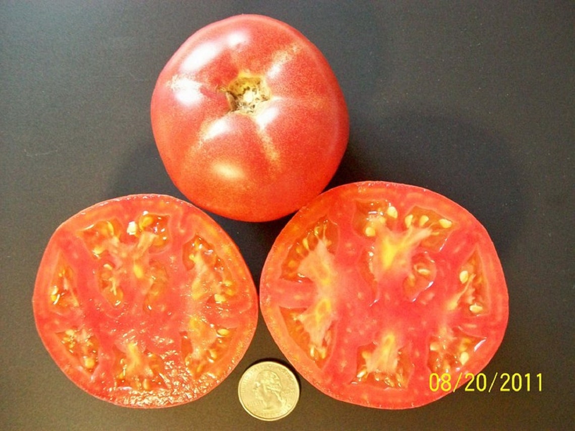 Heirloom Tomato Eva Purple Ball 70 Day Purple Indeterminate | Etsy