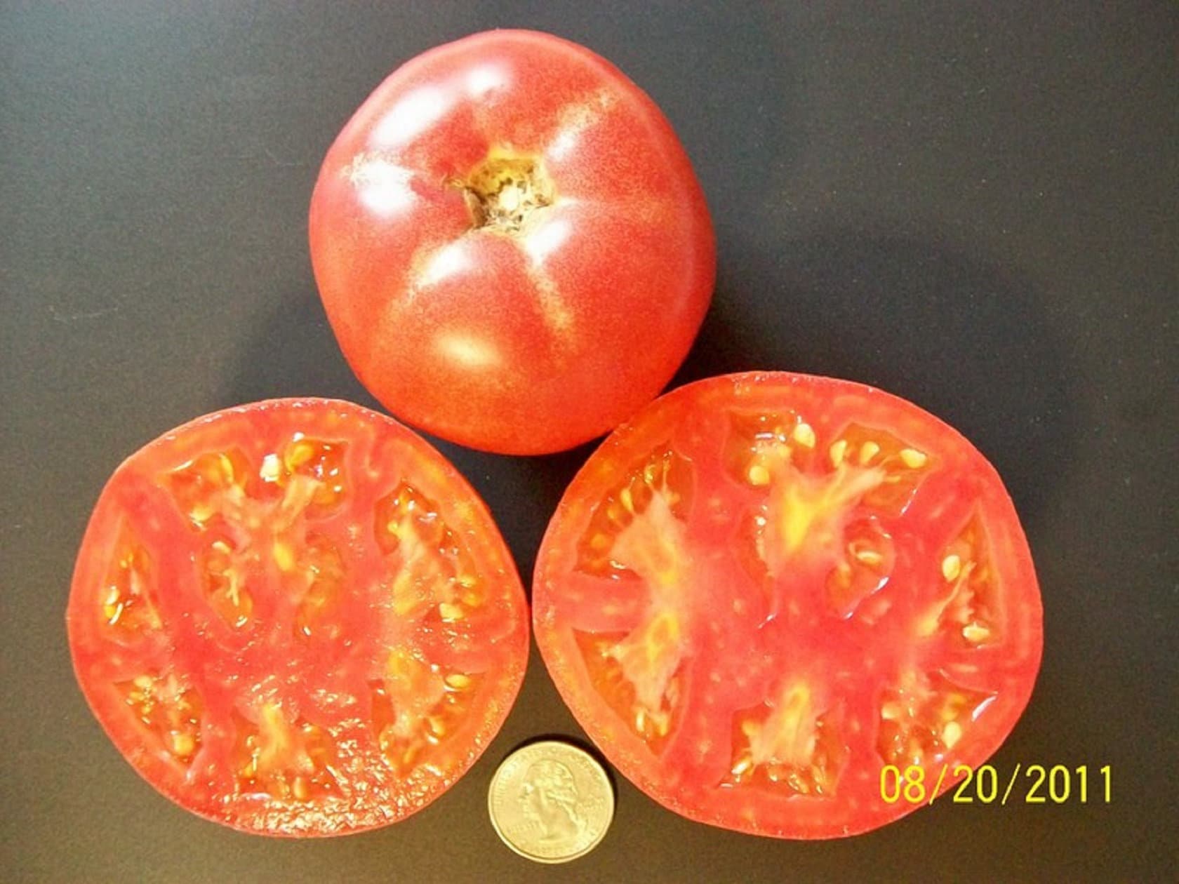Heirloom Tomato- Eva Purple Ball- 70 Day Purple Indeterminate- 25 Seeds ...