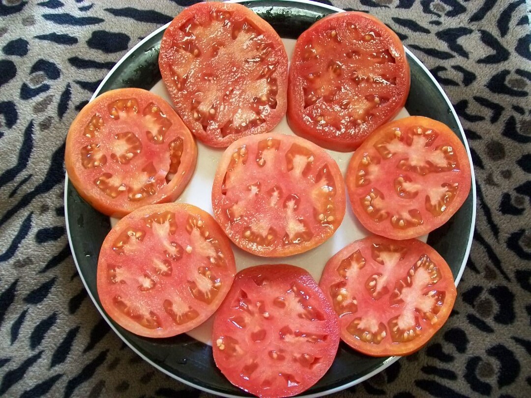 Heirloom Tomato- DRUZBA- 85 Day Pink Indeterminate- 25 Seeds per Pack ...