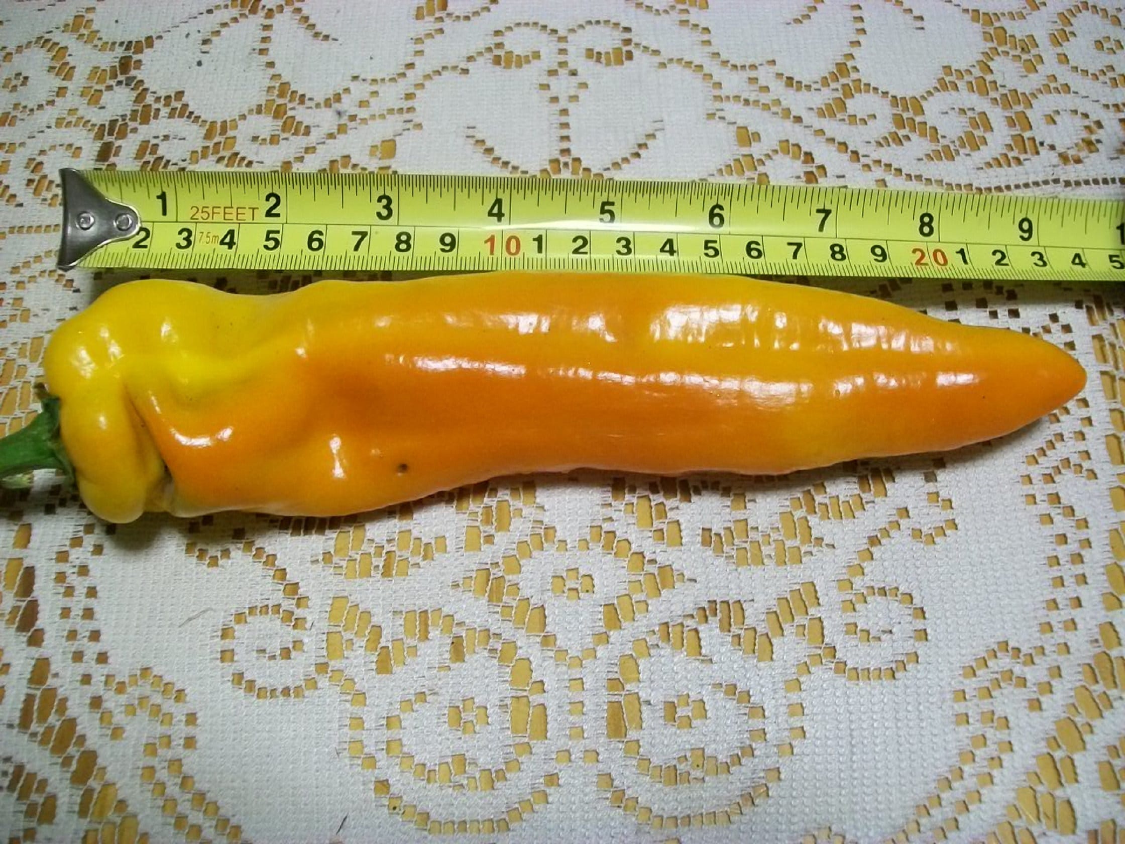 Sweet Pepper Marconi Golden Yellow 75 Days to Harvest 25 | Etsy