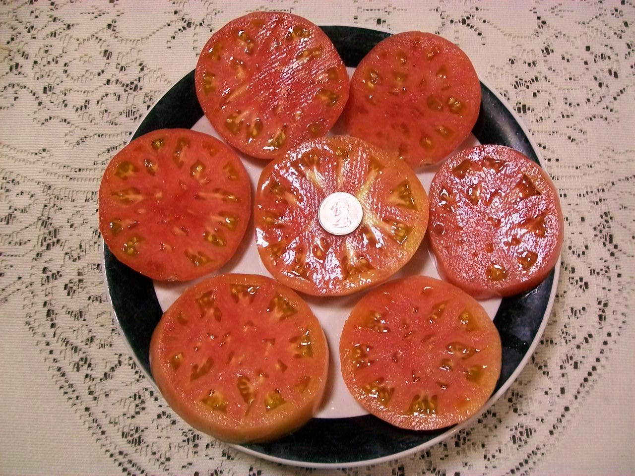 Heirloom Tomato PURPLE PERFECT 75 to 85 day PURPLE | Etsy