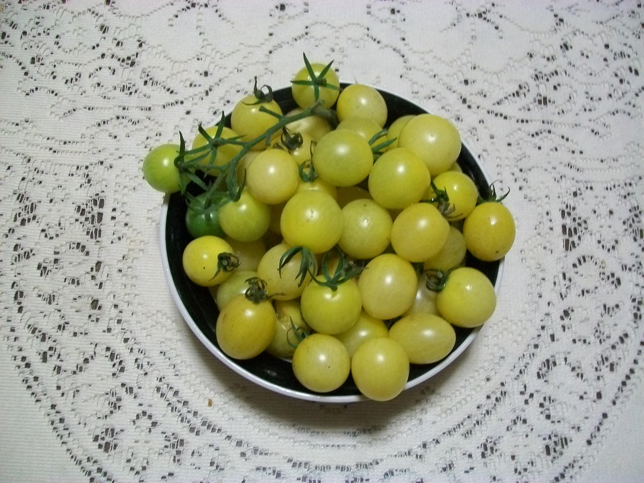 Cherry Tomato- SNOW WHITE CHERRY- Heirloom- 75 Day Indeterminate- 25 ...