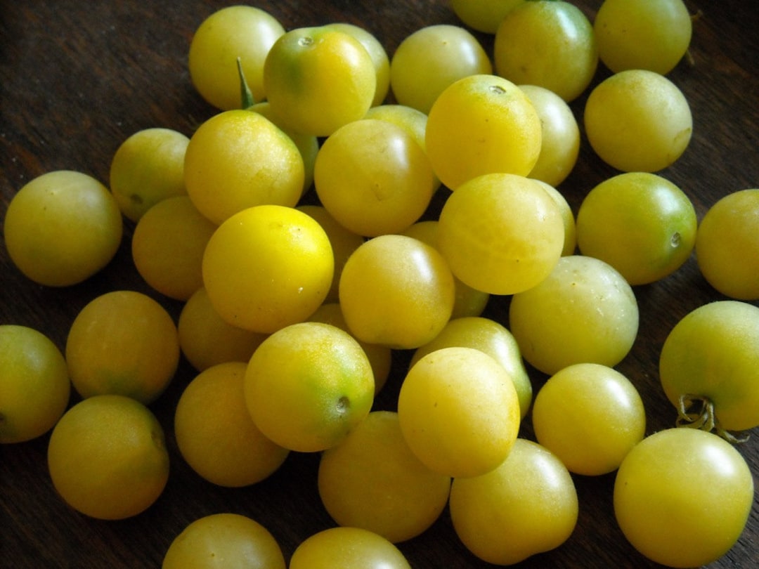 Cherry Tomato- SNOW WHITE CHERRY- Heirloom- 75 Day Indeterminate- 25 ...