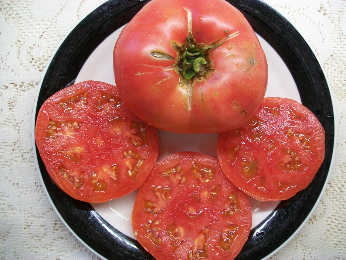 Heirloom Tomato SOLDACKI 75 Day PINK Indeterminate 25 Seeds | Etsy