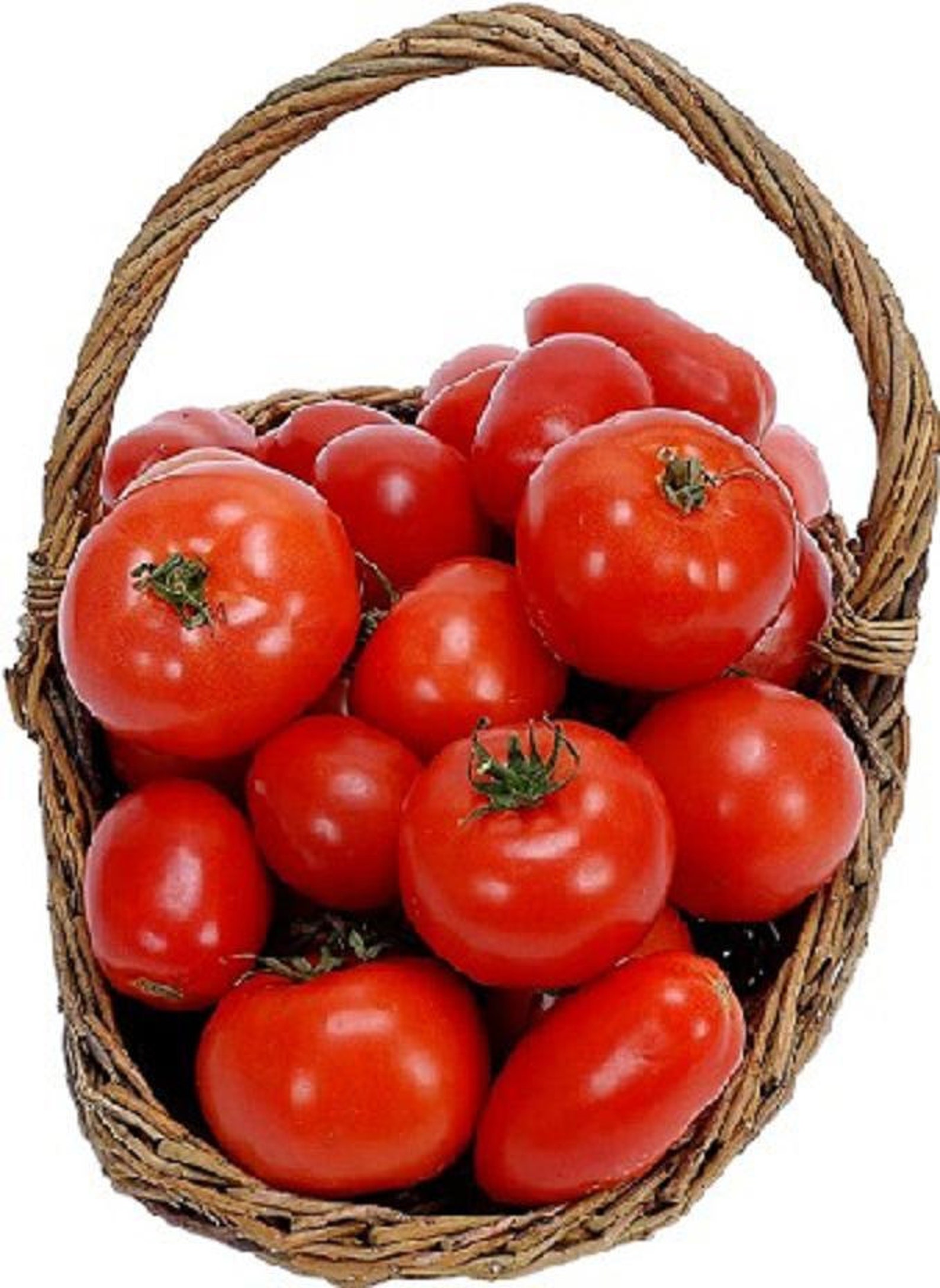 Heirloom Tomato MOUNTAIN PRINCESS 45 to 68 Day red - Etsy