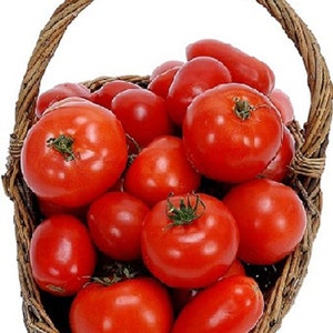 Heirloom Tomato- MOUNTAIN PRINCESS- 45 to 68 Day -red -determinate - 25 ...