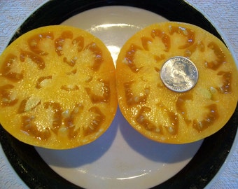 Sunray Tomato Seeds Solanum Lycopersicum B219 - Etsy