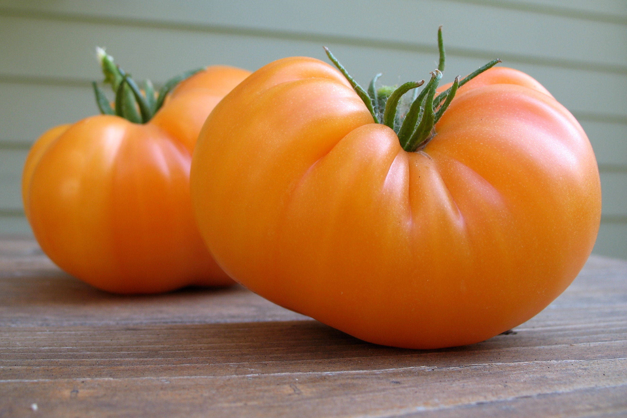 Heirloom Tomato- DR. WYCHE'S- 78 Day YELLOW Indeterminate 25 Seeds per ...