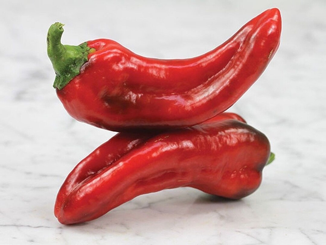 Sweet Pepper- Marconi Red- 78 Days to Harvest- 25 Seeds - Etsy