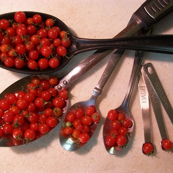 Tomato Spoon - Etsy