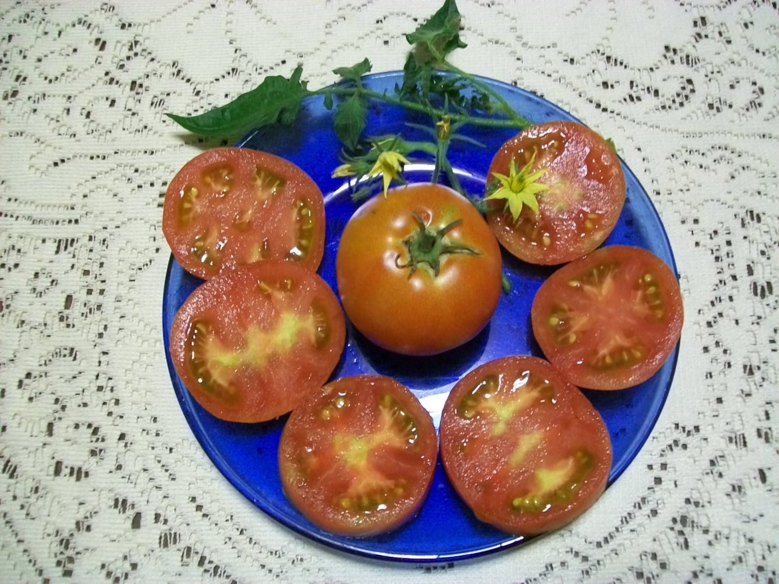 Heirloom Tomato PERON SPRAYLESS 68 Day RED Determinate 25 - Etsy