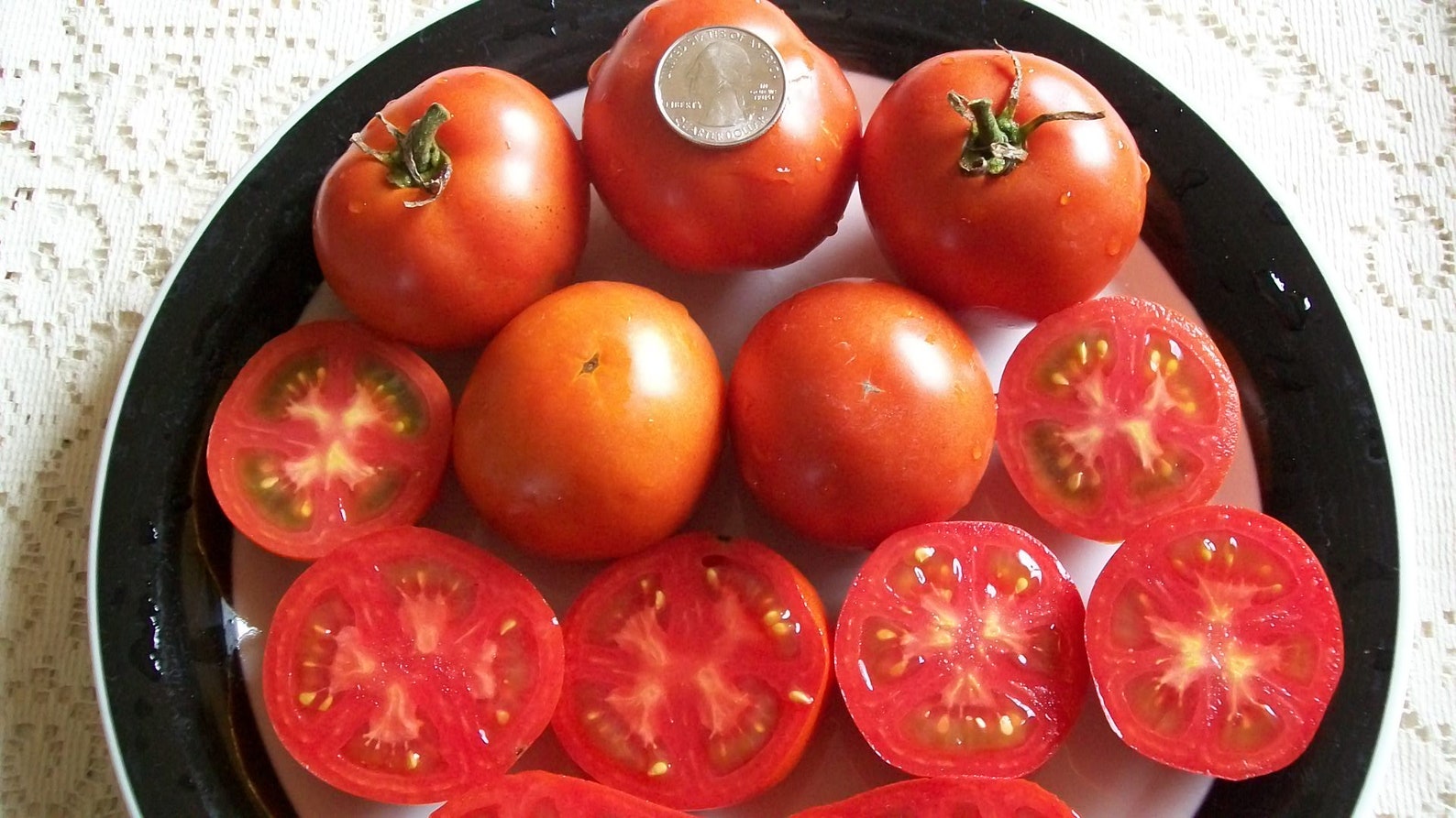 Heirloom Tomato MOUNTAIN PRINCESS 45 to 68 Day red - Etsy