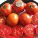 Heirloom Tomato MOUNTAIN PRINCESS 45 to 68 Day red determinate 25 Seeds ...