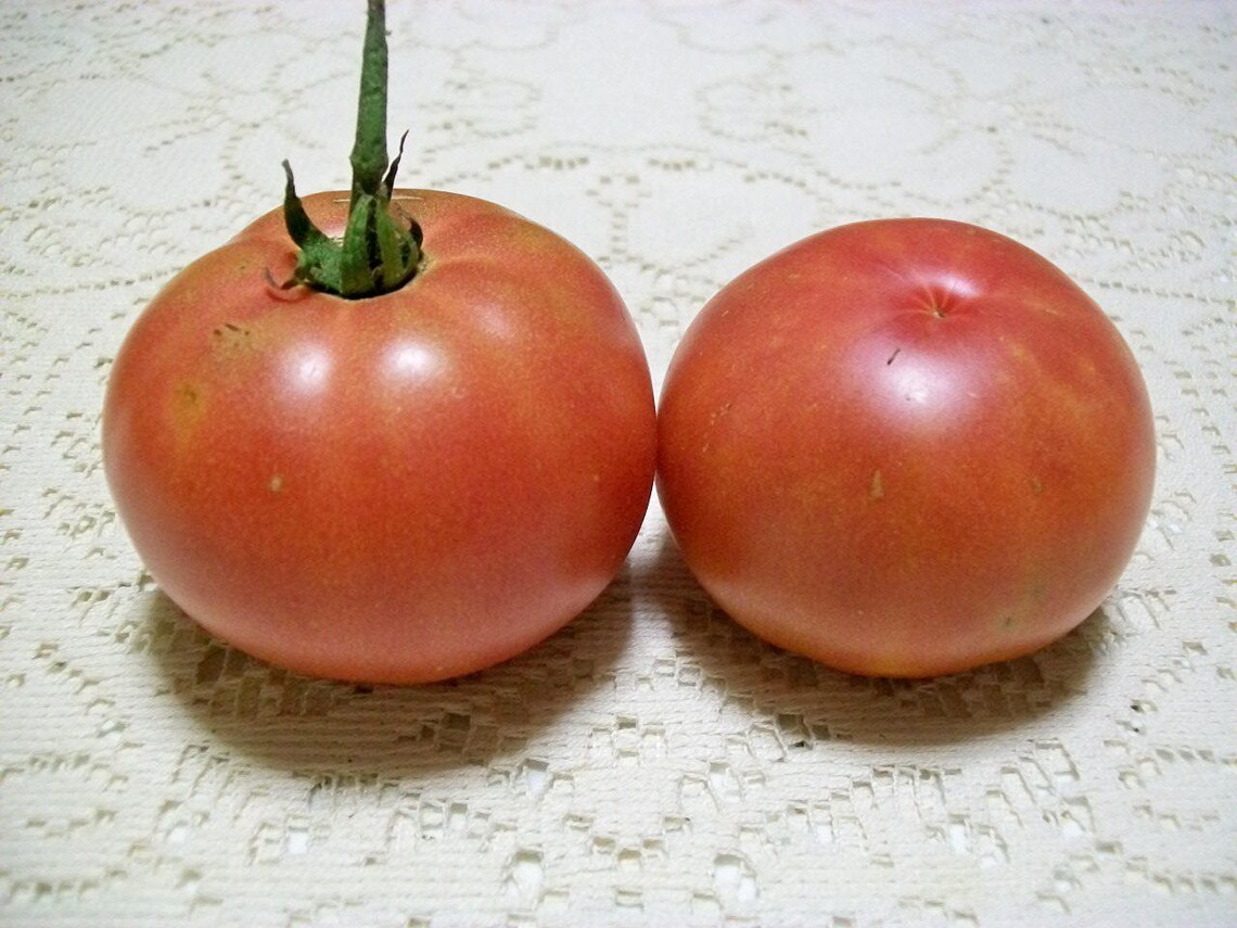 Heirloom Tomato PURPLE PERFECT 75 to 85 day PURPLE | Etsy