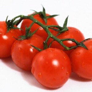 Heirloom Tomato- Early Cascade- 52 Day- INDETERMINATE- 25 Seeds - Etsy