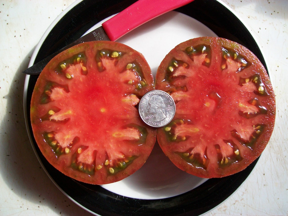 Heirloom Tomato- Black Seaman- 75 Day- Black (dark Red) Determinate- 25 ...