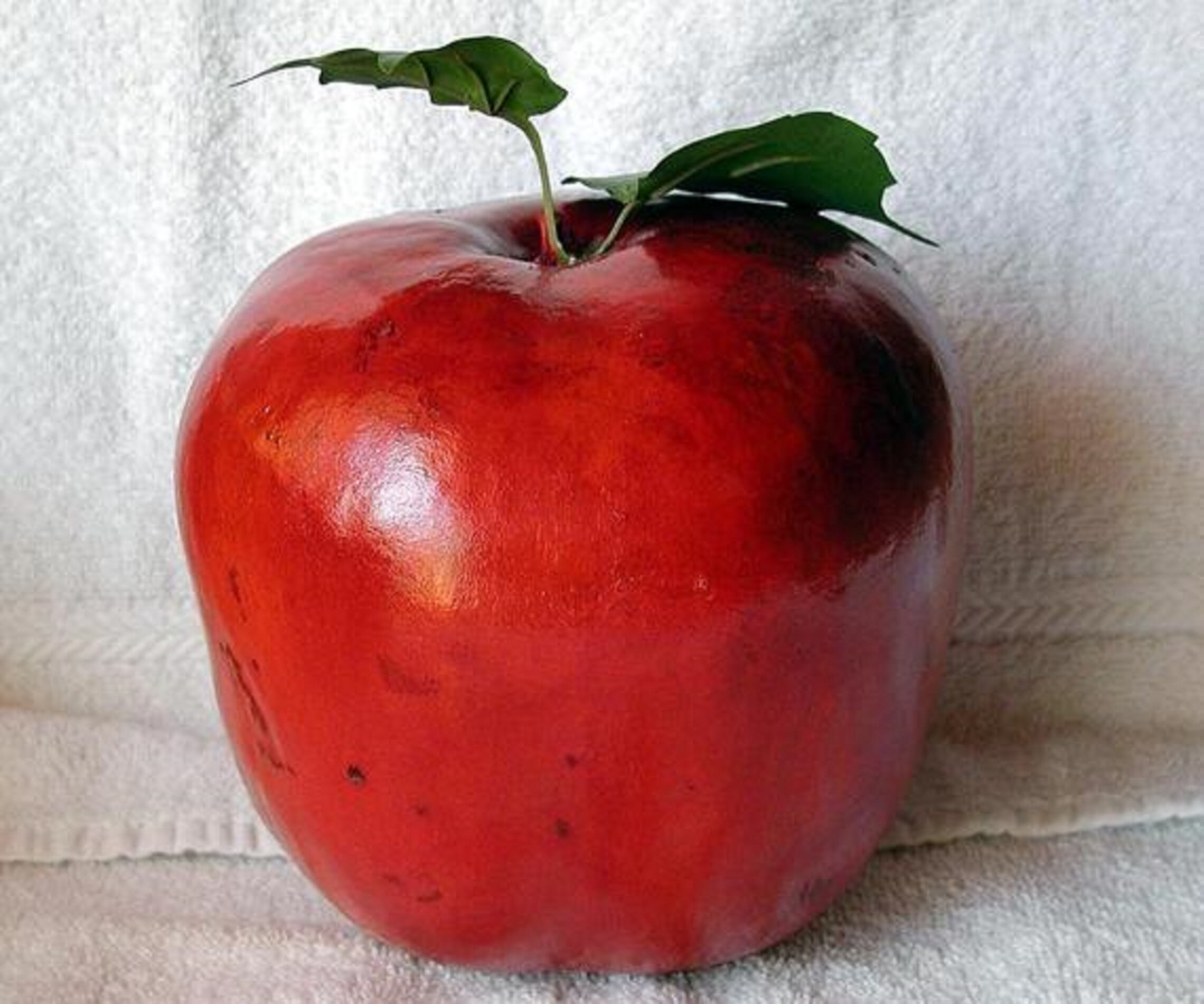 Gourd Apple 6 Inch Tall Fruit Easy to Grow 120 Days 20 - Etsy