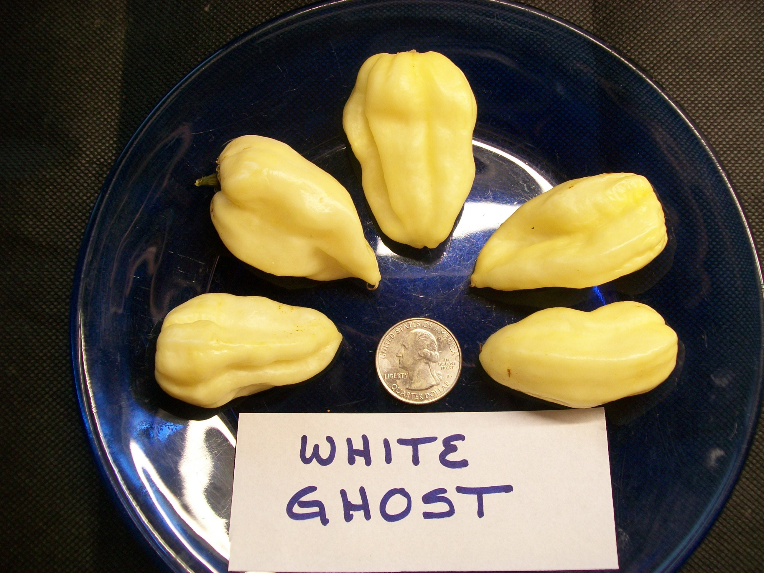White Ghost Pepper
