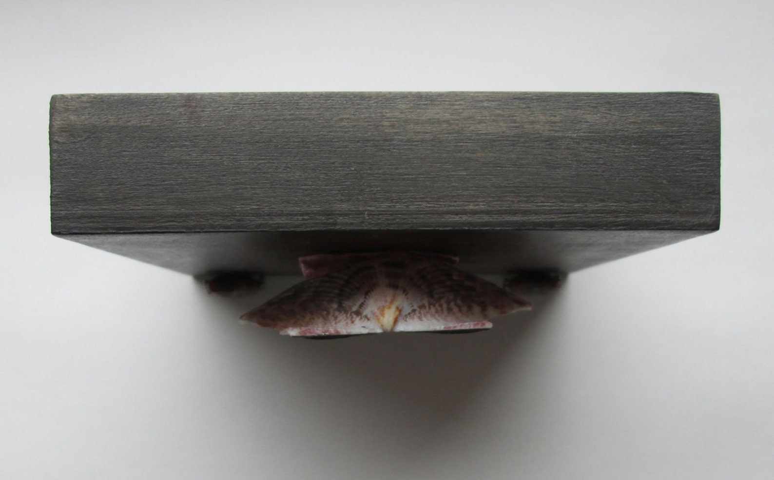 Mixed Media Assemblage Art Sea Shell on Wood Panel With Color - Etsy