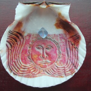 Mixed Media Assemblage Art Sea Shell on Wood Panel With Color - Etsy