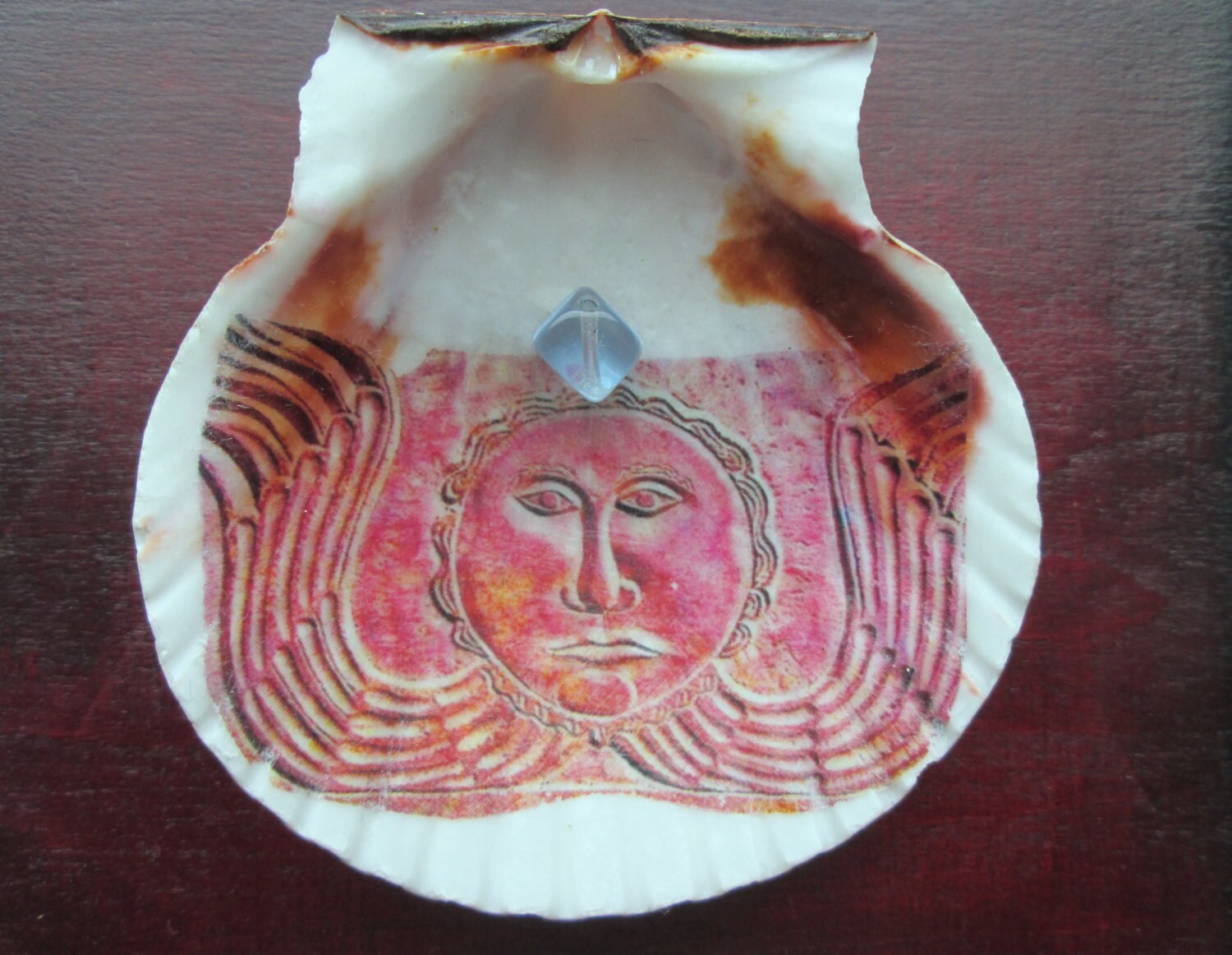 Mixed Media Assemblage Art Sea Shell on Wood Panel With Color - Etsy