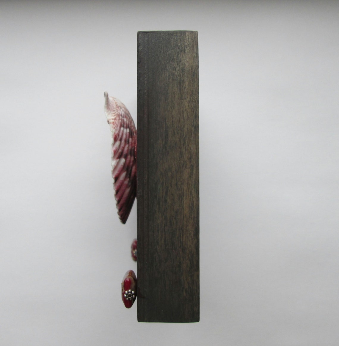 Mixed Media Assemblage Art Sea Shell on Wood Panel With Color - Etsy