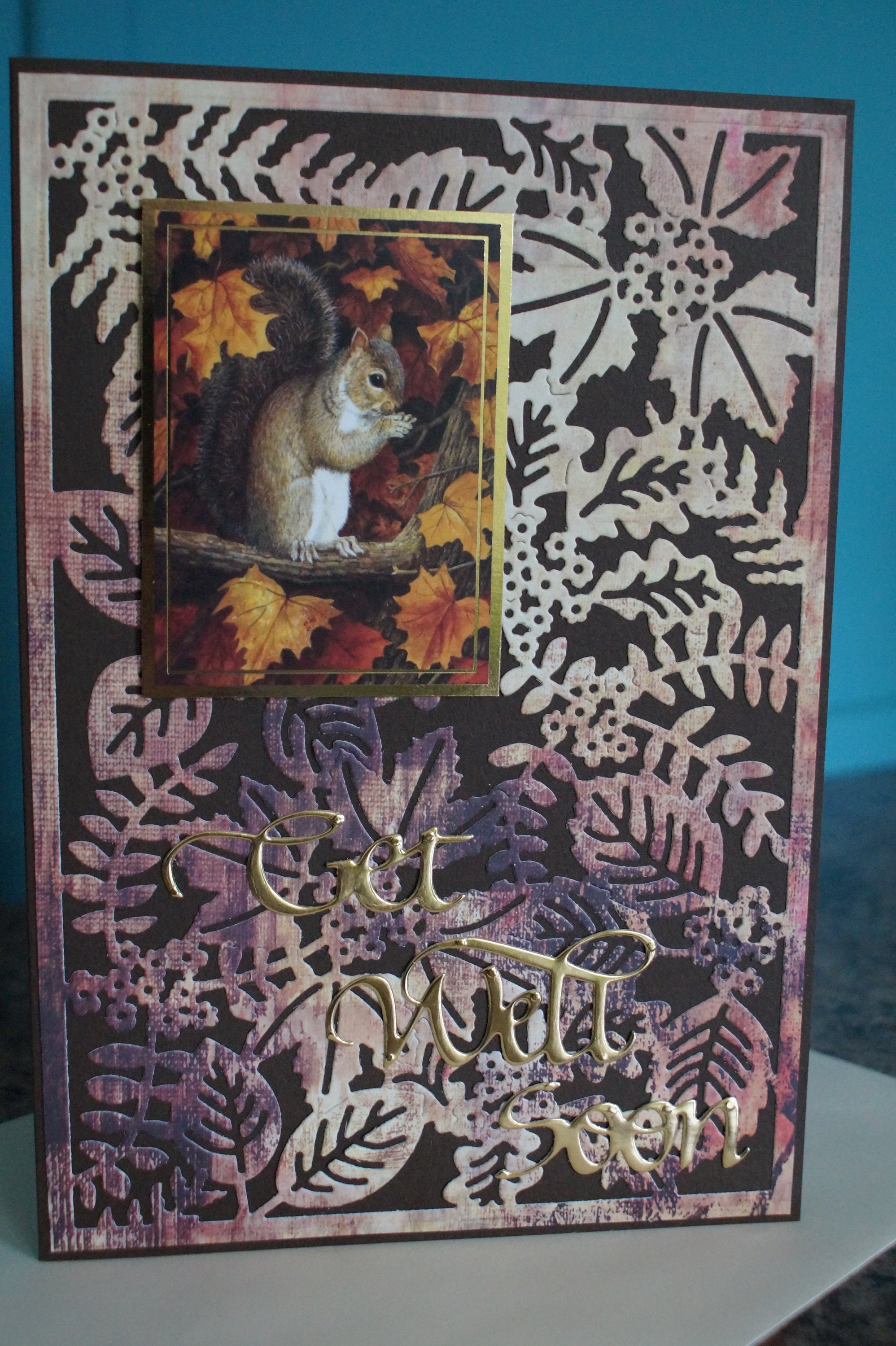 Squirrel Get Well Soon Greeting Card - Etsy