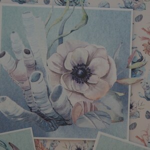 Ocean Secrets Celebrate Card - Etsy