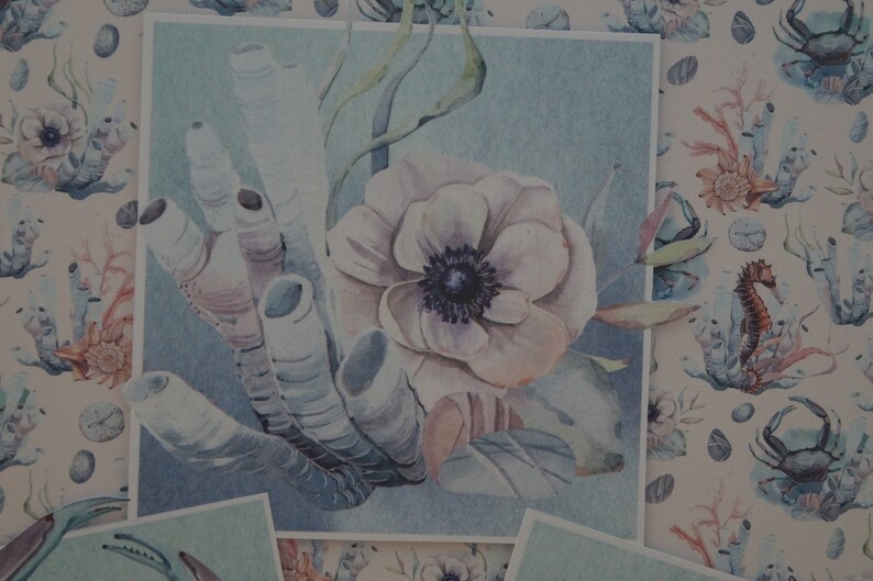 Ocean Secrets Celebrate Card - Etsy