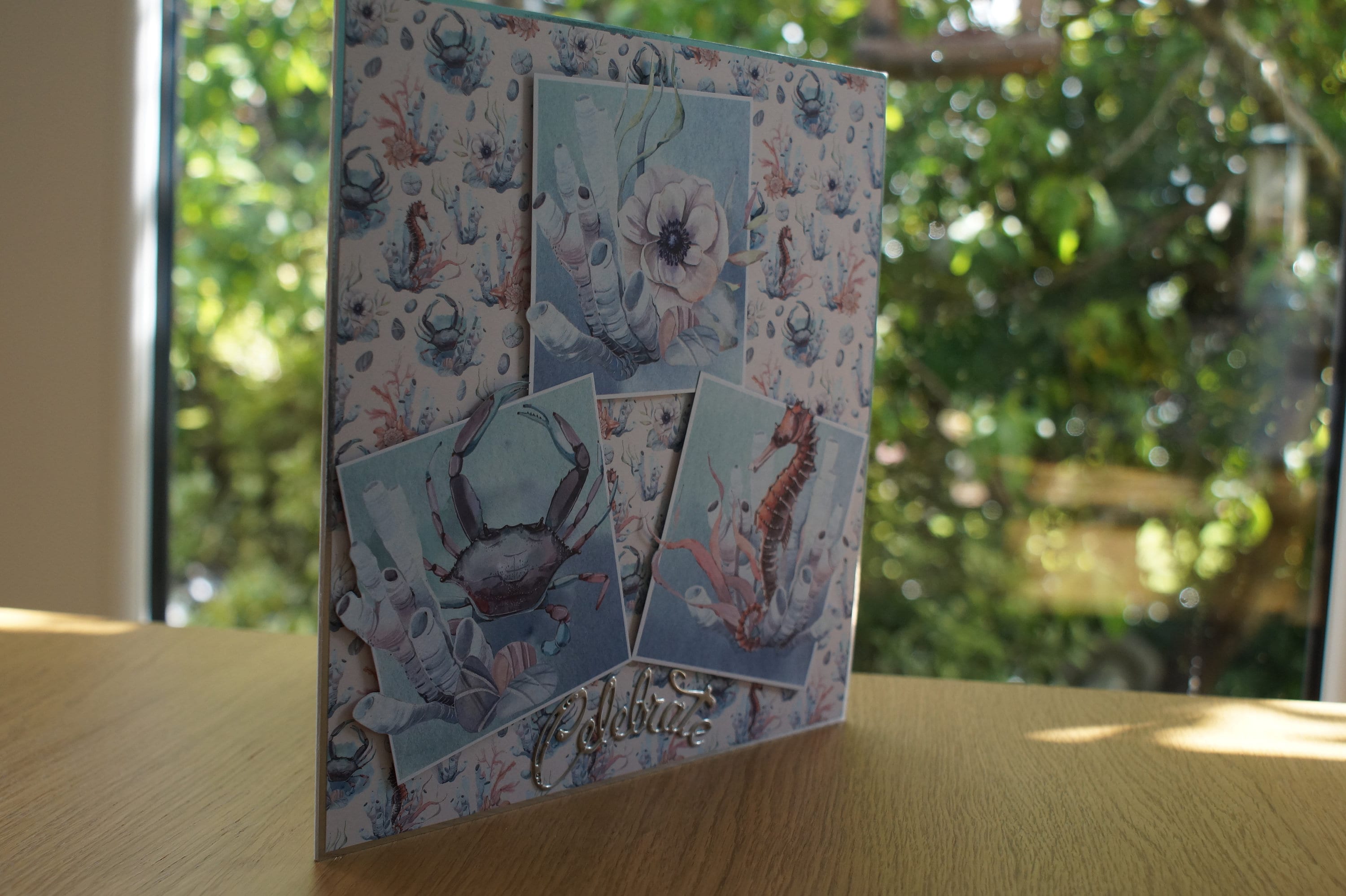 Ocean Secrets Celebrate Card - Etsy