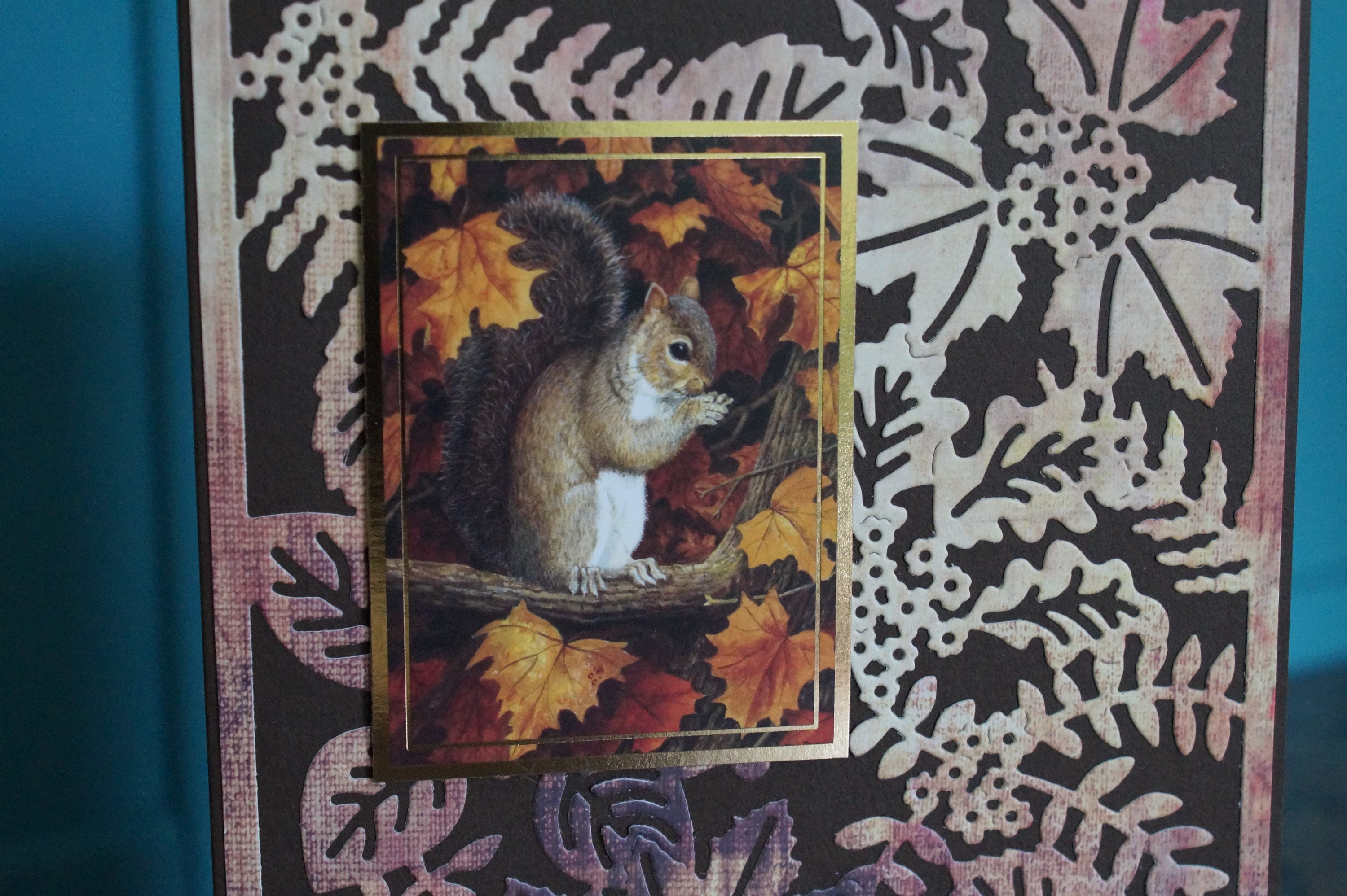 Squirrel Get Well Soon Greeting Card - Etsy
