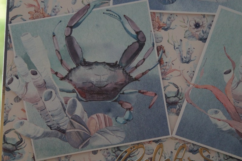 Ocean Secrets Celebrate Card - Etsy