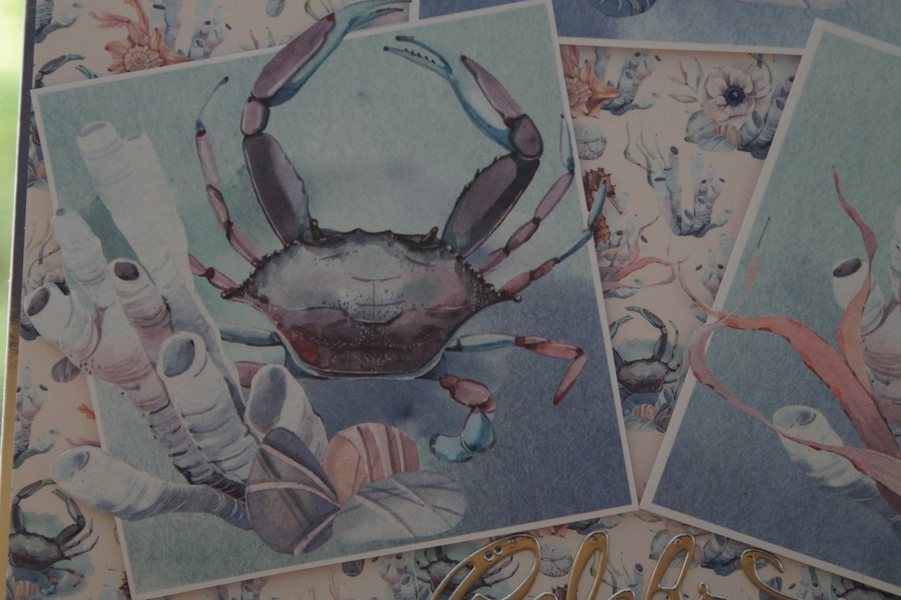 Ocean Secrets Celebrate Card - Etsy