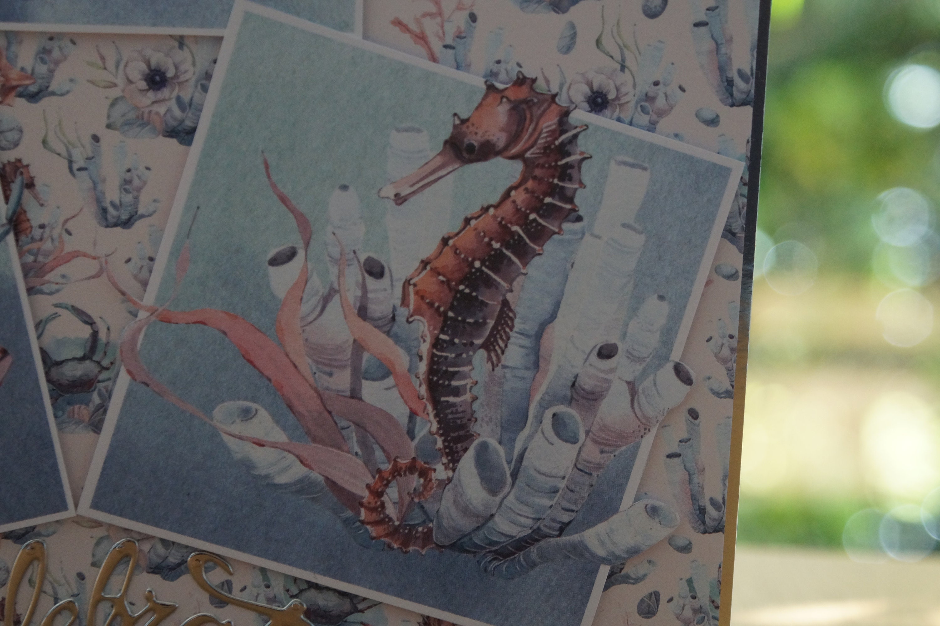 Ocean Secrets Celebrate Card - Etsy