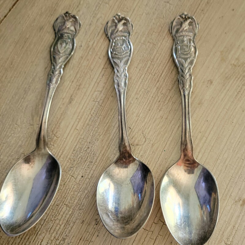 Silver Plate Spoon - Etsy