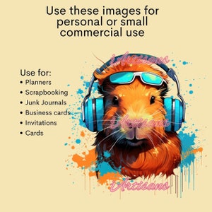 6 Imágenes PNG de Capybara / Fondo transparente / Imágenes PNG / Arte ...