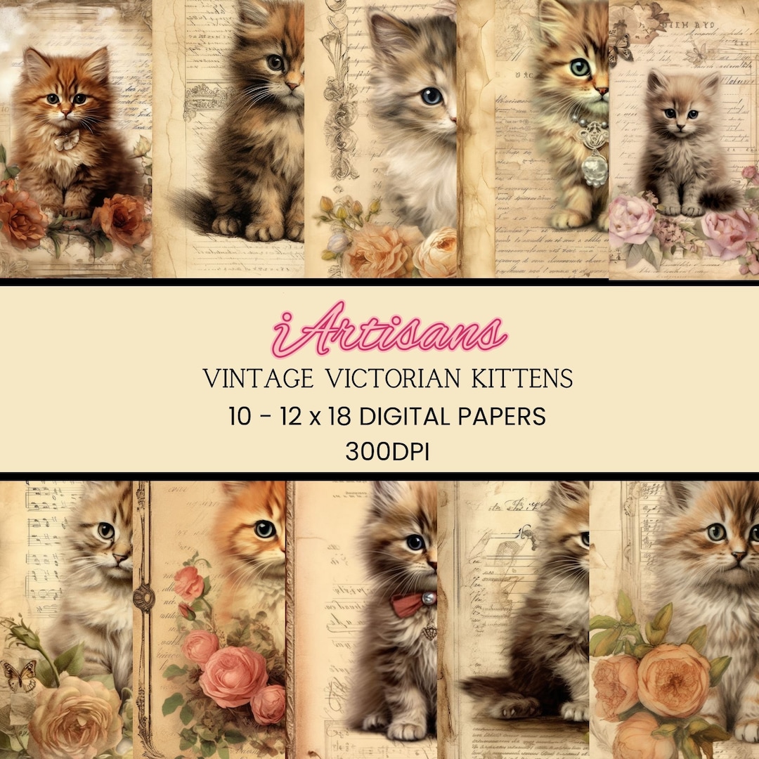 10 Vintage Kitten Papers | Kitten Digital Download | Cat Junk Journal ...