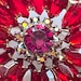 Vintage Large Red Rhinestone Flower Pin Brooch - Etsy