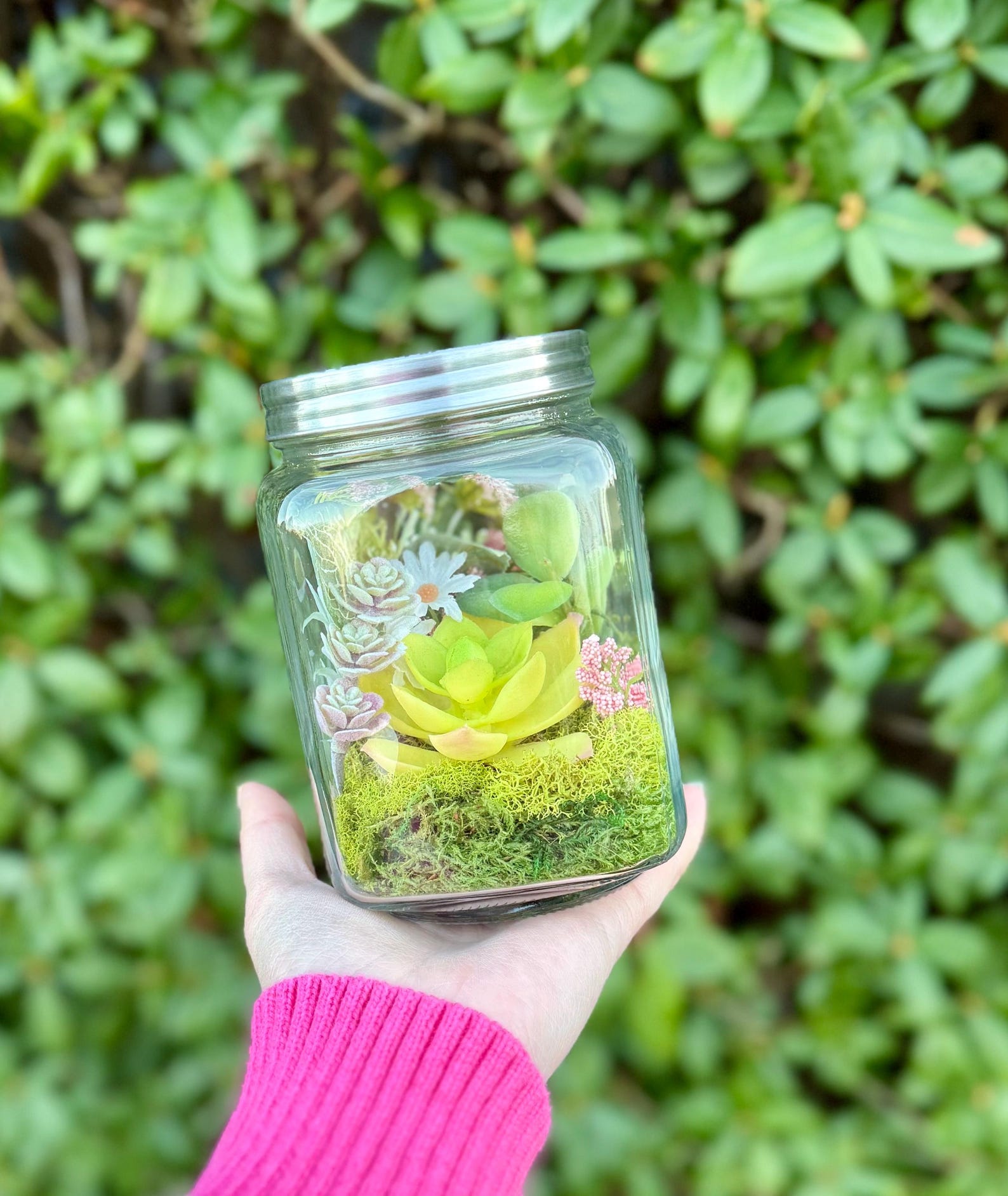 Build Your Own Terrarium DIY Kit - Etsy