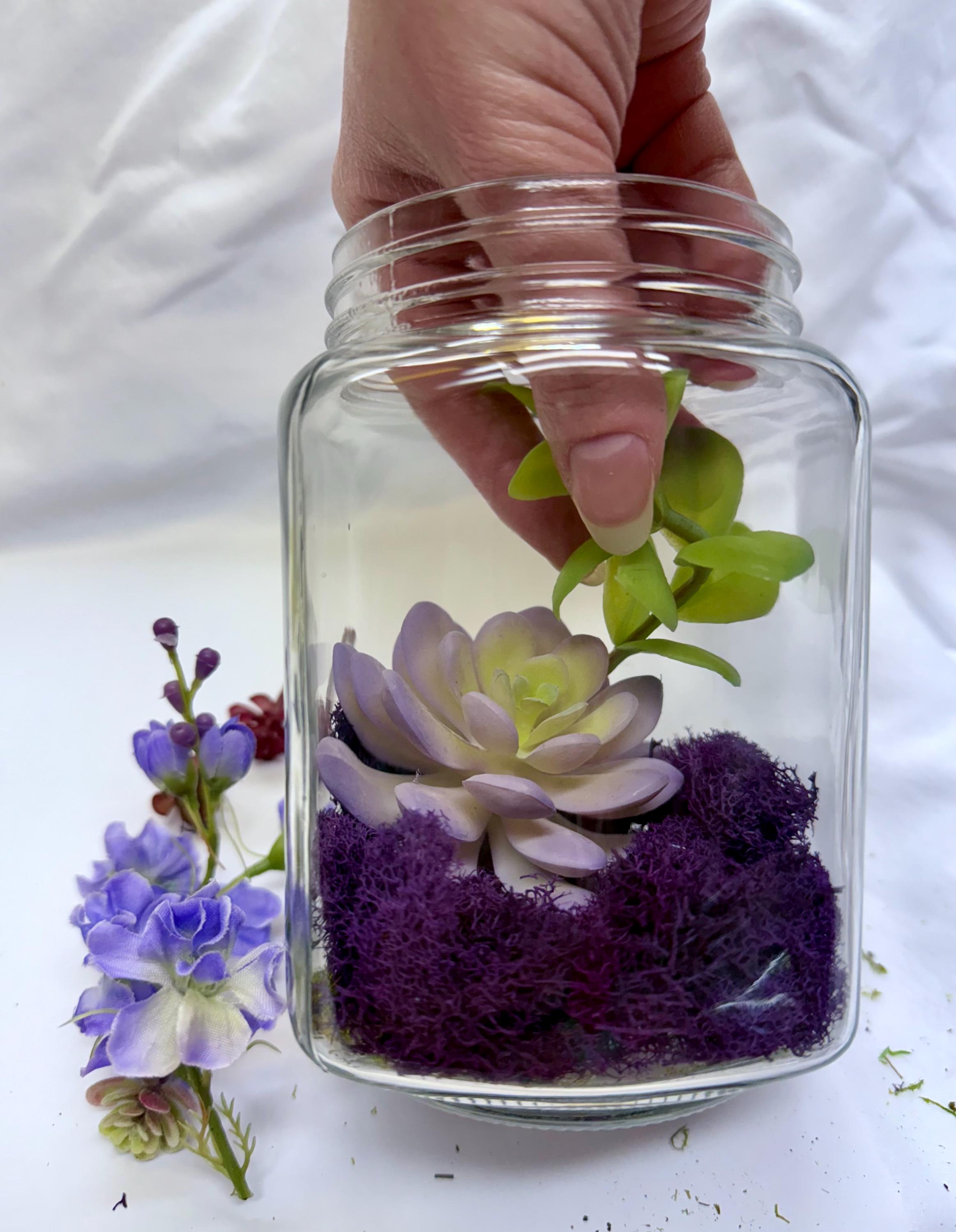 Build Your Own Terrarium DIY Kit - Etsy