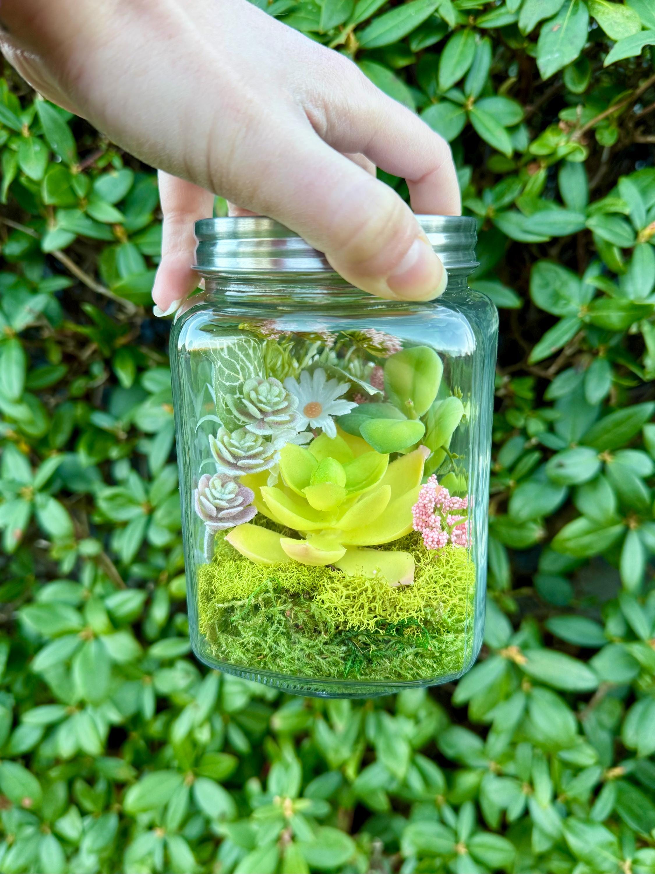 Build Your Own Terrarium DIY Kit - Etsy