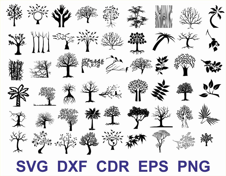 Tree Vector Branch Svg Trees Svg Tree Svg Tree of Life | Etsy