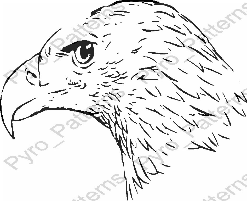 Pyrography Wood burning Bald Eagle Head Bird Pattern Printable | Etsy