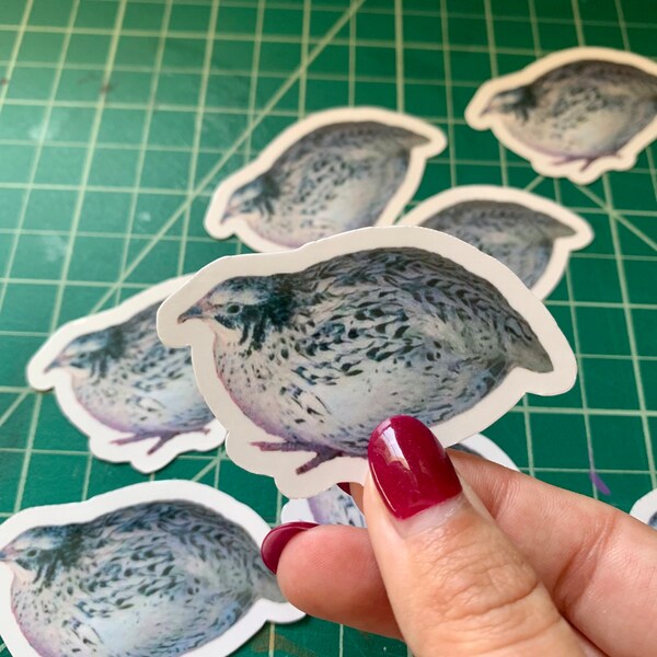 Pearl Coturnix - Etsy