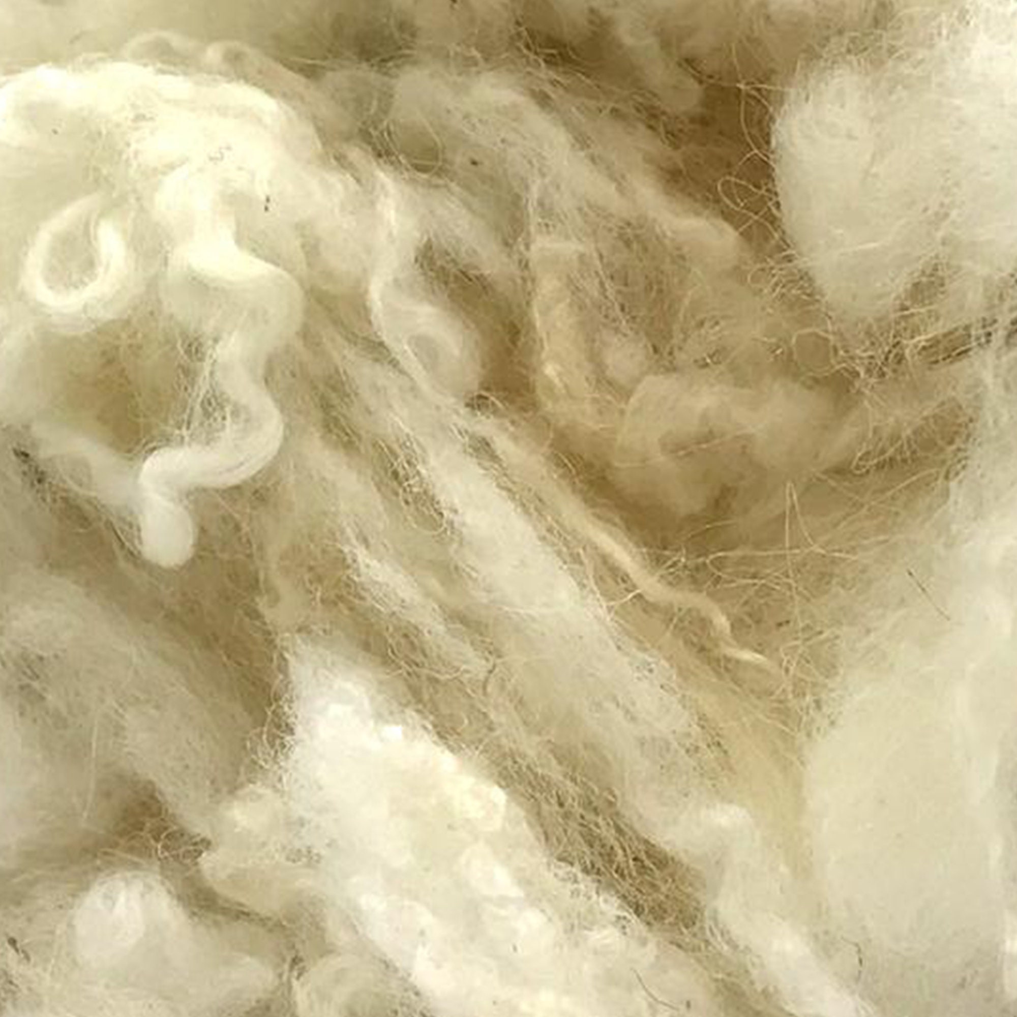 Wool Locks - Natural White - 1 Oz. | Felting Wool | Curls - Curly Wool ...