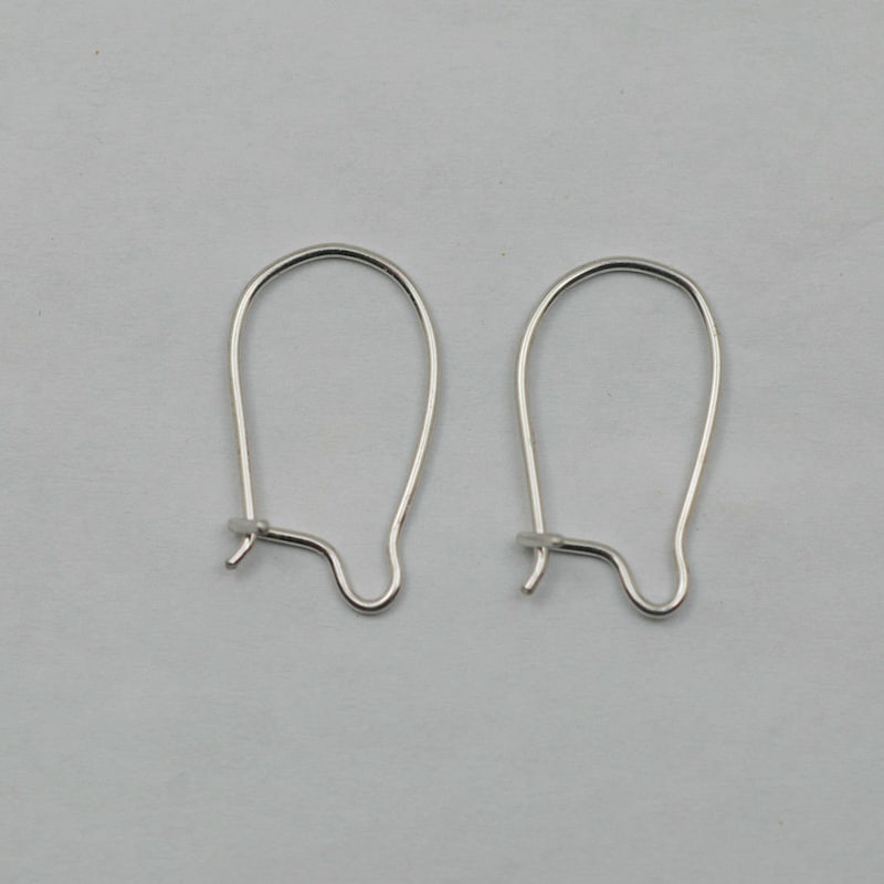 Kidney Ear Wires - Etsy