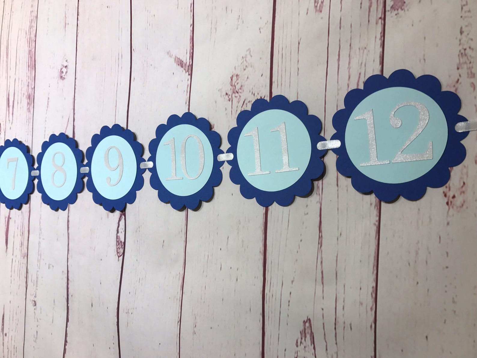 Monthly Photo Banner First Year Banner Milestone Banner - Etsy Canada
